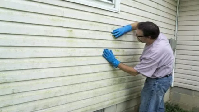 How To Get Rustoleum Paint Off Vinyl Siding: Tips And Tricks | Tools Guide