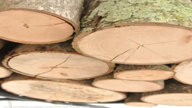 How To Kill Bugs In Wood: Effective Techniques For Eliminating Wood ...